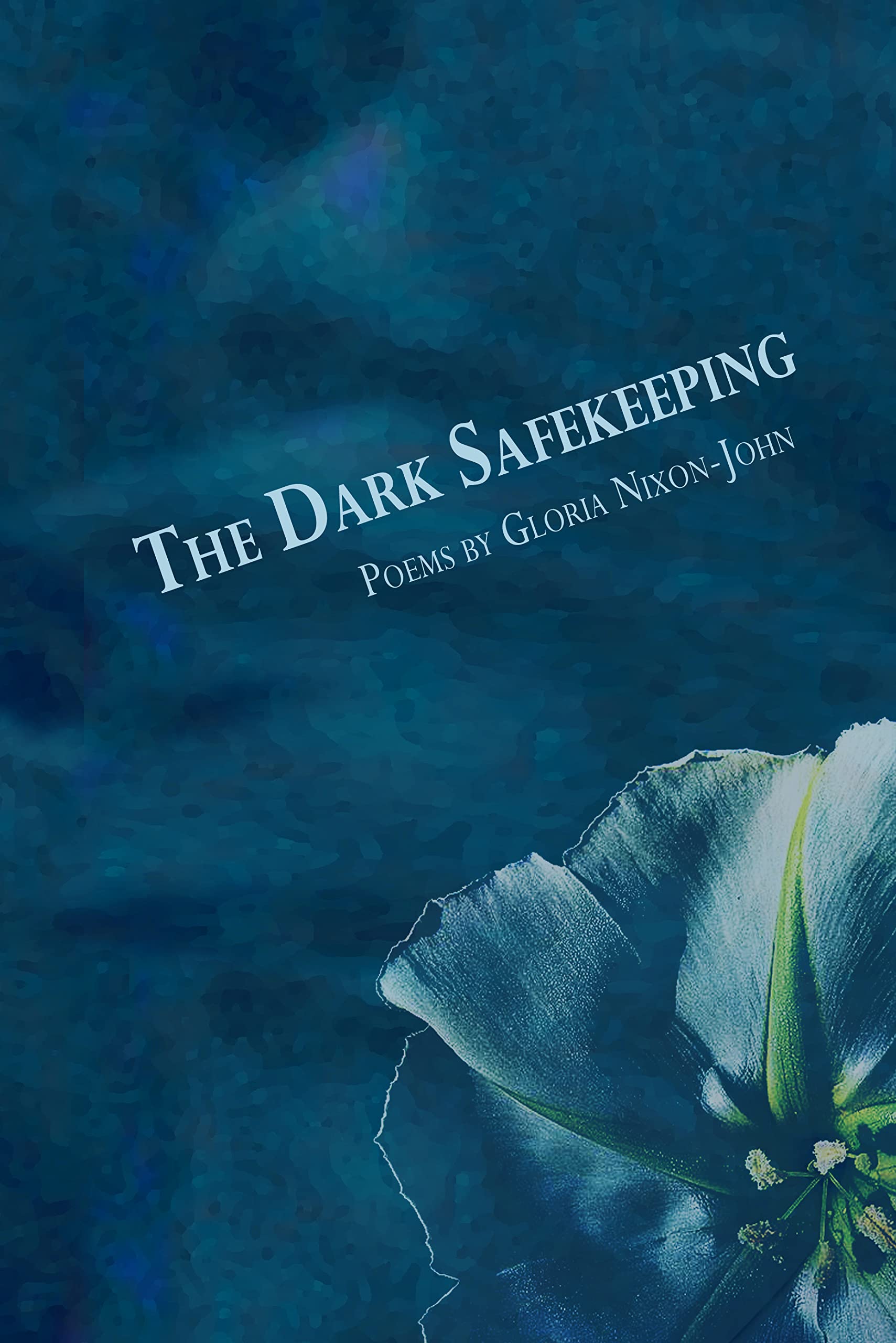 The Dark Safekeeping by Gloria Nixon-John | Goodreads