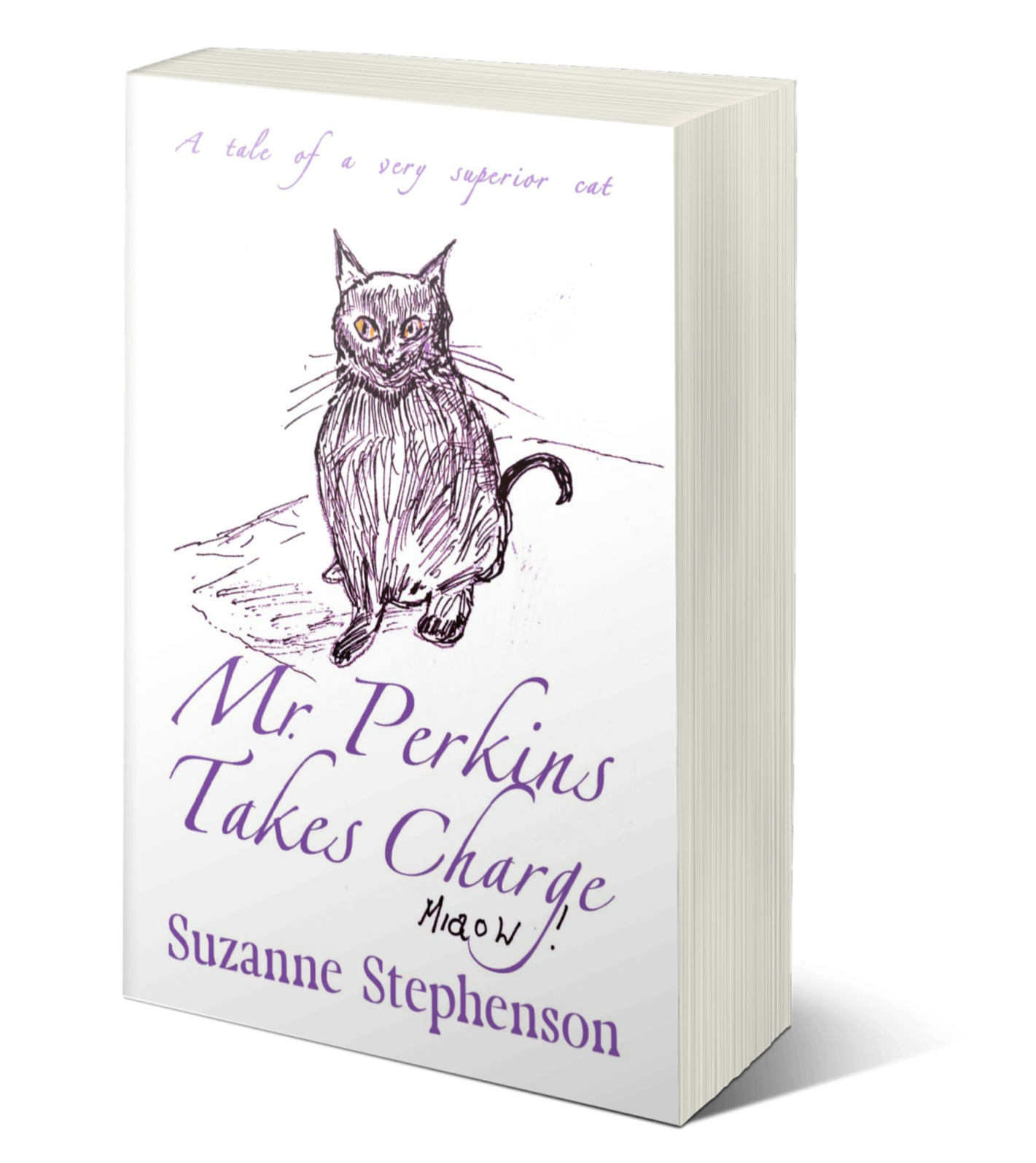 Mr Perkins takes Charge by Suzanne Stephenson | Goodreads