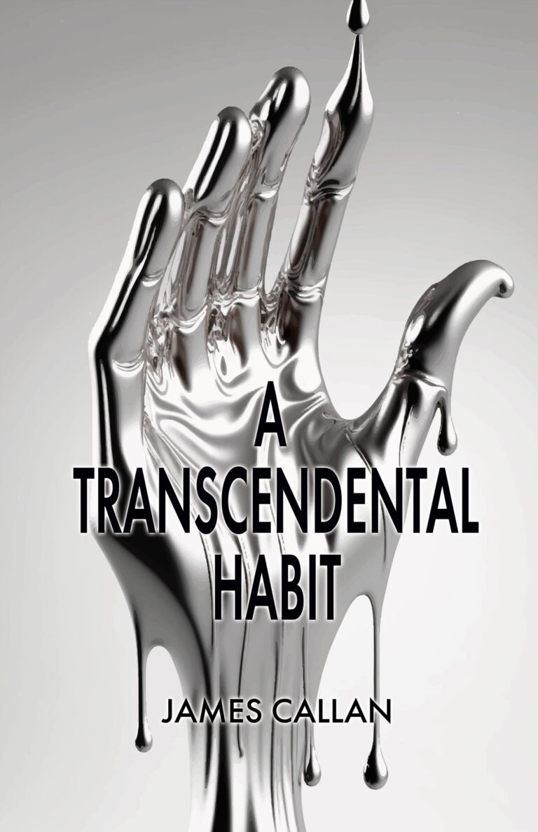 A Transcendental Habit by James Callan | Goodreads