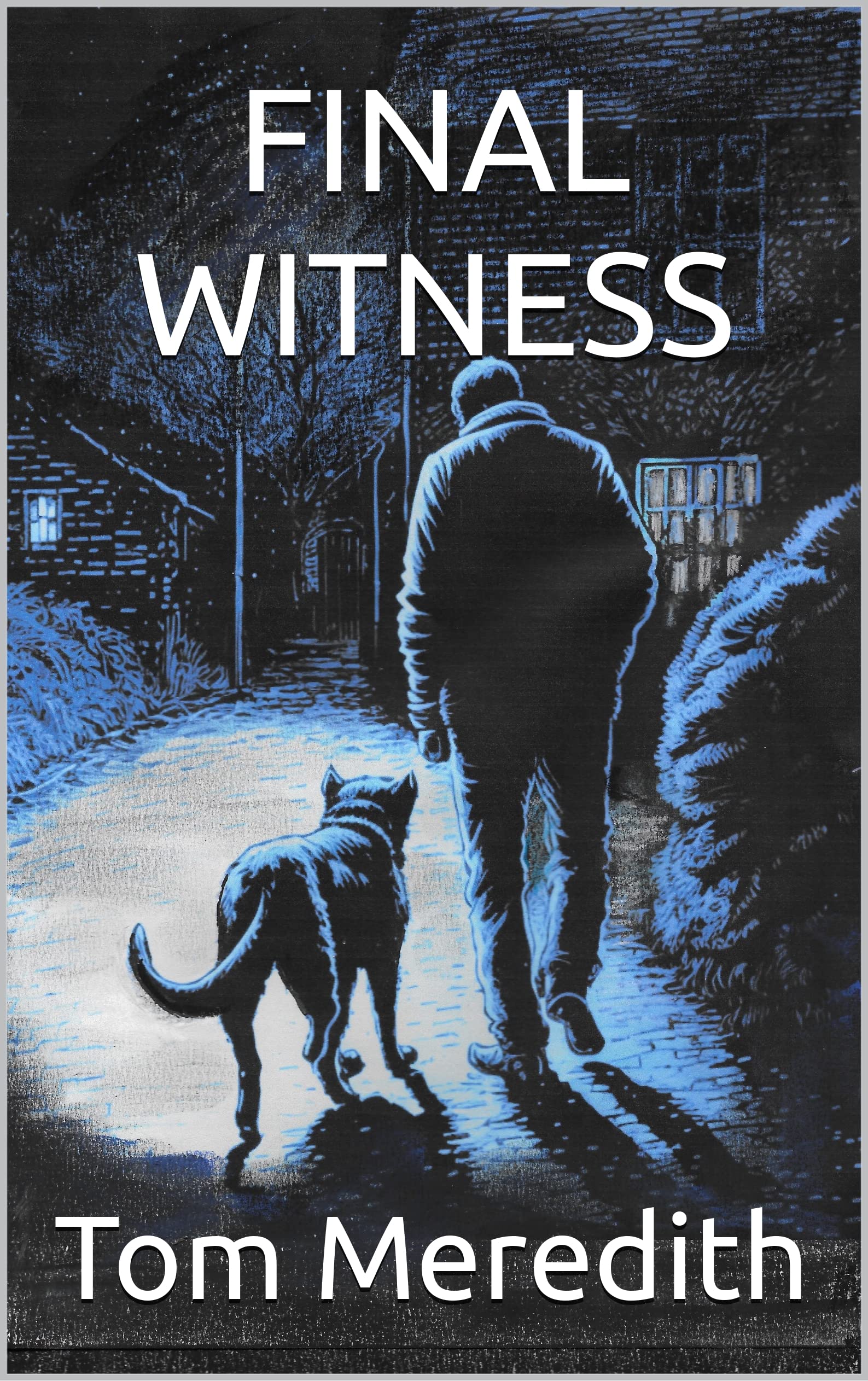 FINAL WITNESS (DCI 'Tiny' Bull series Book 3) by Tom Meredith | Goodreads