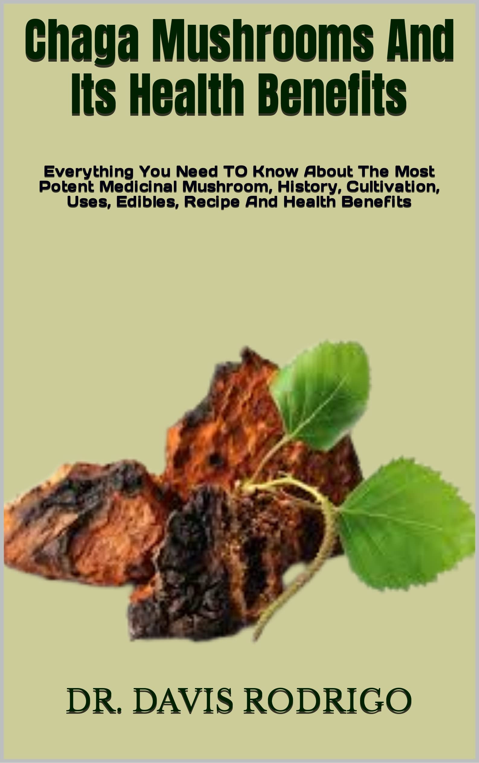 Chaga Mushrooms And Its Health Benefits: Everything You Need TO Know ...
