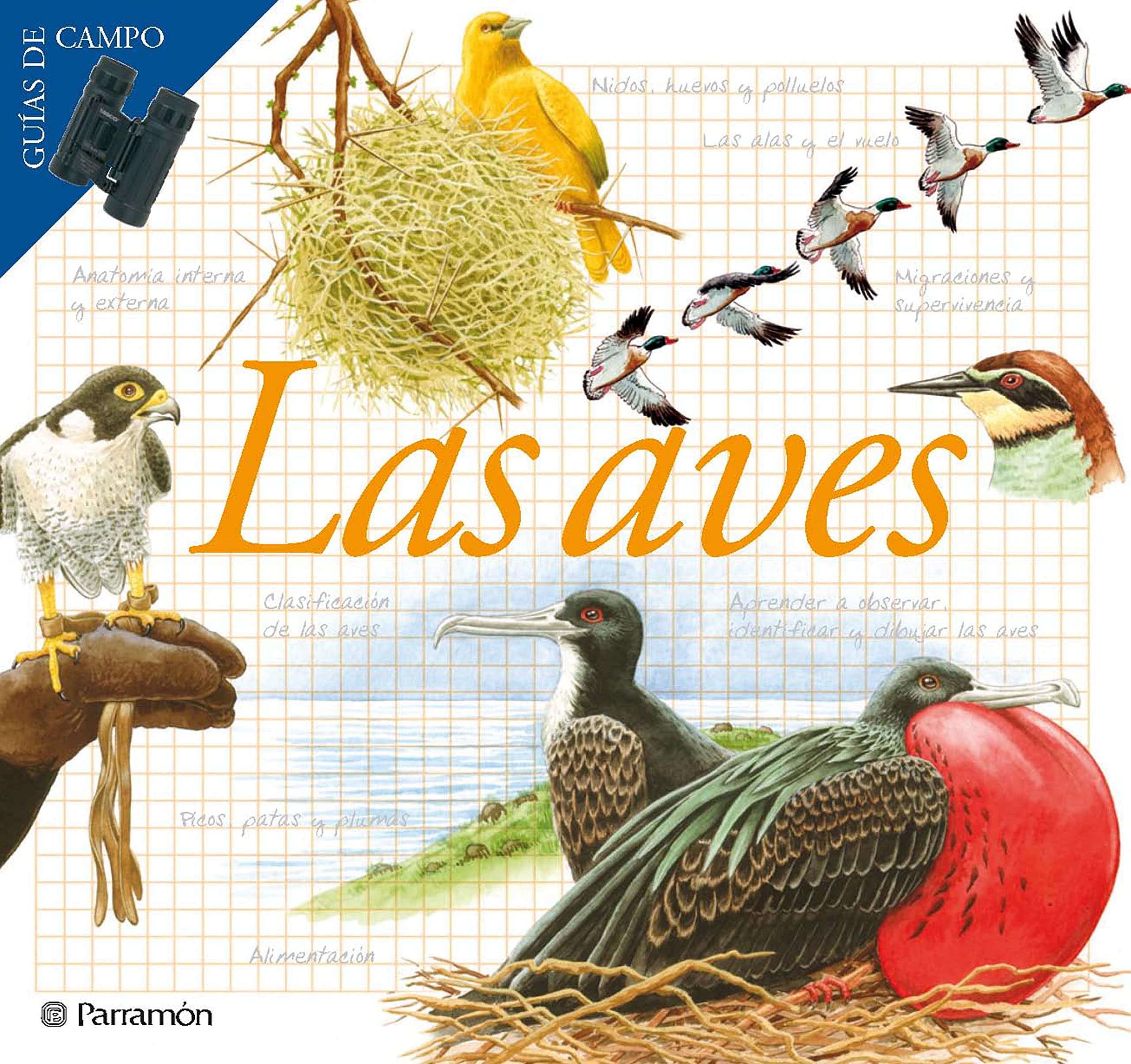 Las aves (Guías de campo) (Spanish Edition) by Maria Ángels Julivert | Goodreads