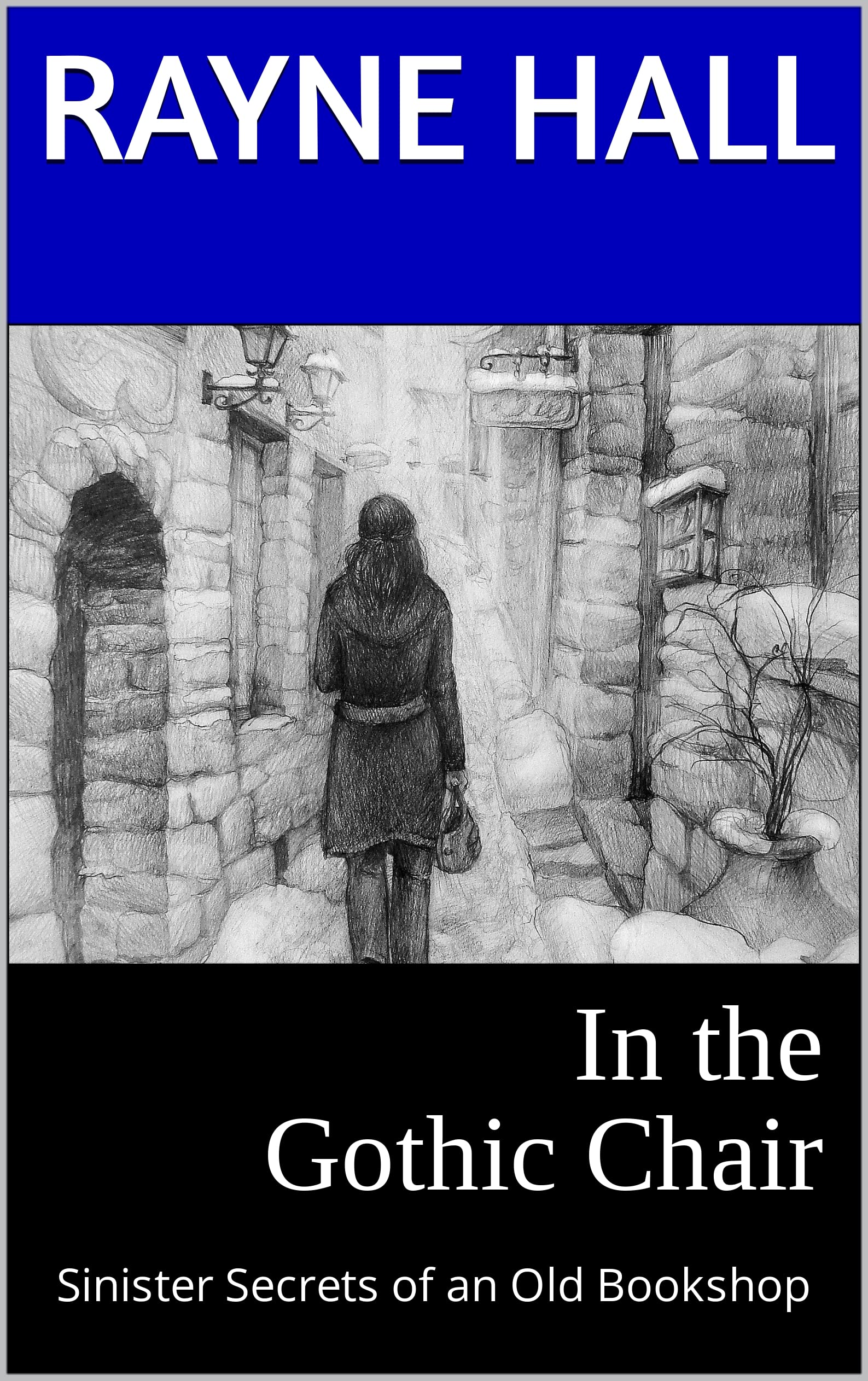 In the Gothic Chair: Sinister Secrets of an Old Bookshop by Rayne Hall ...