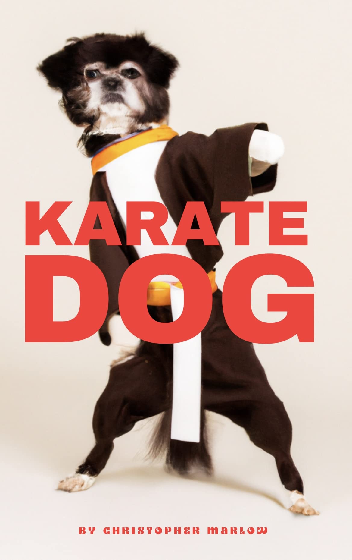 Karate Dog by Christopher Marlow | Goodreads