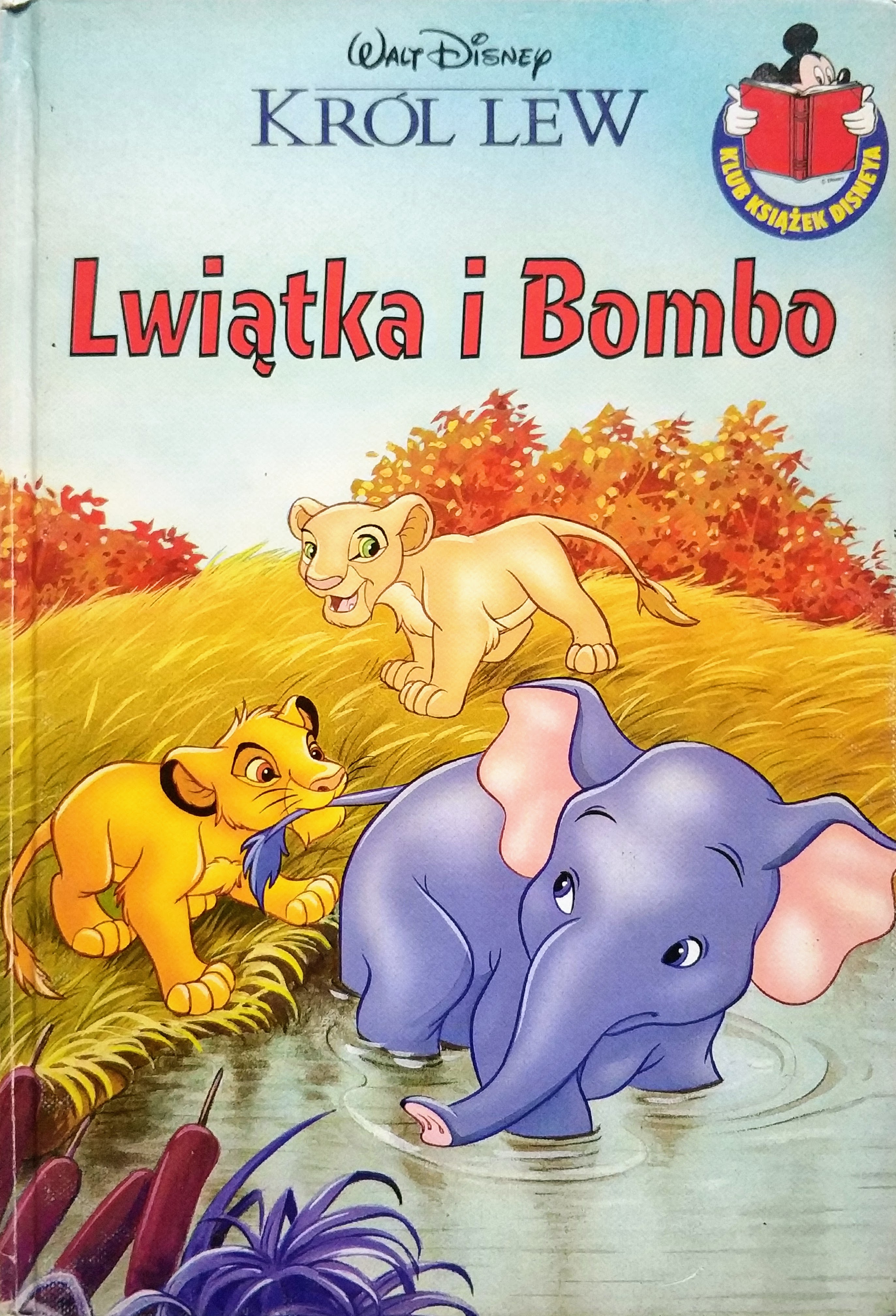Król Lew: Lwiątka i Bombo by Walt Disney Company | Goodreads