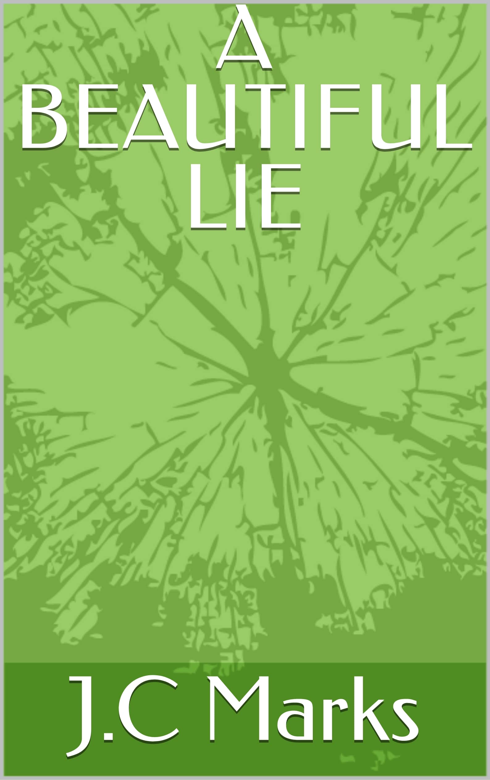 A BEAUTIFUL LIE by Courtney Foulk | Goodreads