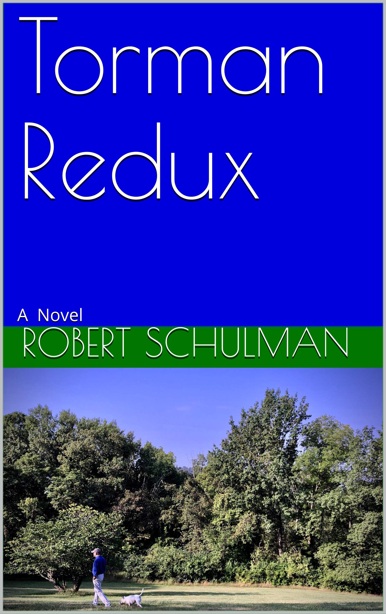 Torman Redux: A Novel by Robert Schulman | Goodreads