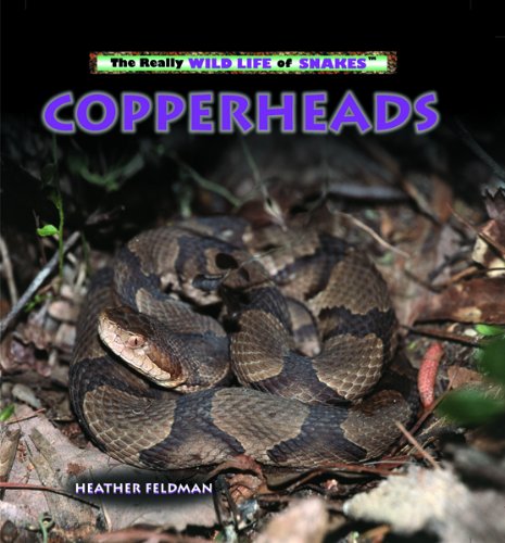 Copperheads (The Really Wild Life of Snakes) by Heather Feldman | Goodreads