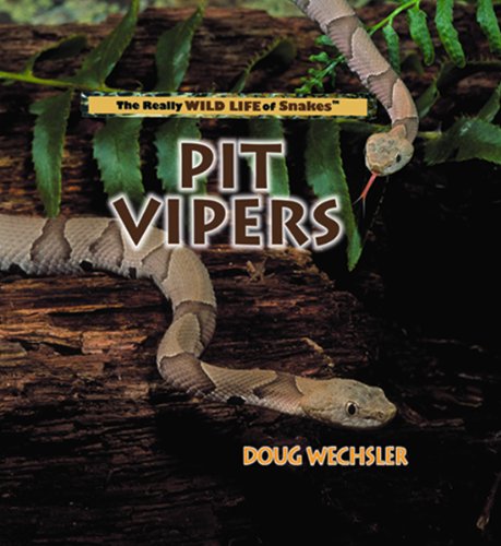 Pit Vipers (The Really Wild Life of Snakes) by Doug Wechsler | Goodreads