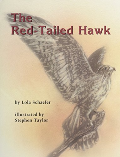The Red-Tailed Hawk (Books for Young Learners) by Lola M. Schaefer ...