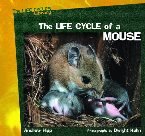 The Life Cycle of a Mouse (Life Cycles Library) by Andrew Hipp | Goodreads