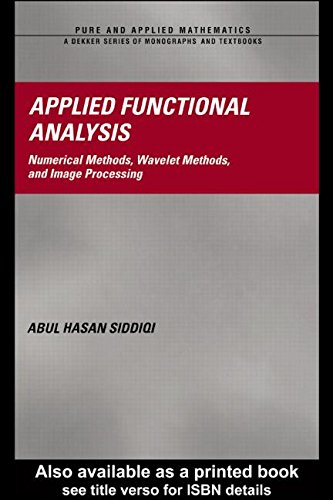 Applied Functional Analysis: Numerical Methods, Wavelet Methods, and ...