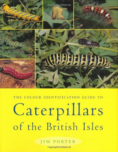 Colour Identification Guide To Caterpillars Of The British Isles by Jim ...