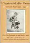 L'apres-midi D'un Faune, Nijinsky 1912 by Baron; Dunning Adolf de Meyer ...