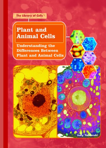 Plant and Animal Cells: Understanding the Differences Between Plant and ...