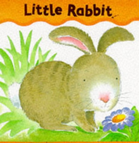 Little Rabbit (Baby Animal Board Books) by Nicola Smee | Goodreads