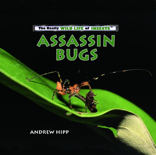 Assassin Bugs (Really Wild Life of Insects) by Andrew Hipp | Goodreads