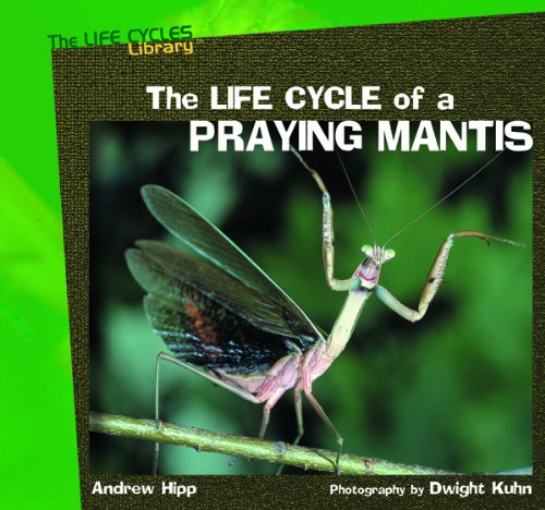 The Life Cycle of a Praying Mantis by Andrew Hipp | Goodreads
