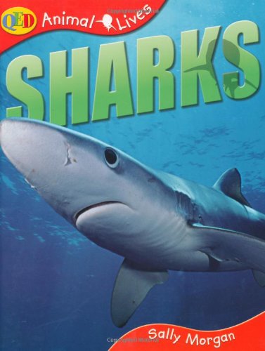 Sharks by Sally Morgan | Goodreads