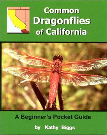 Common Dragon Flies of California: A Beginner's Pocket Guide by Kathy ...