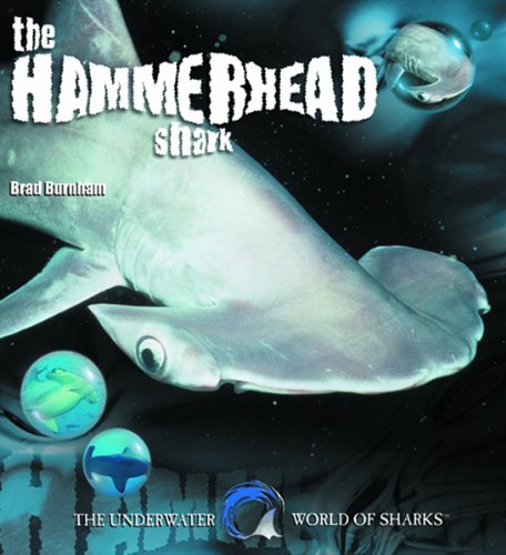 The Hammerhead Shark (The Underwater World of Sharks) by Brad Burnham ...
