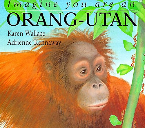 Imagine You Are a Orangutan by Karen Wallace | Goodreads