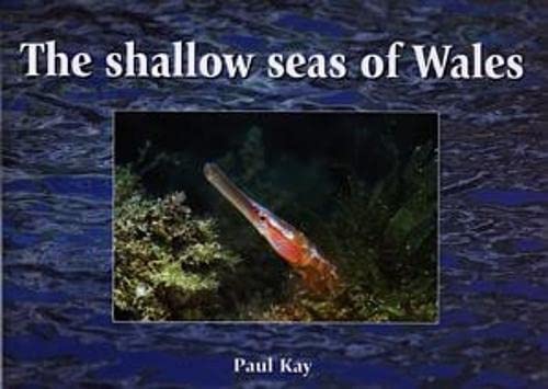 The shallow seas of Wales by Paul Kay | Goodreads