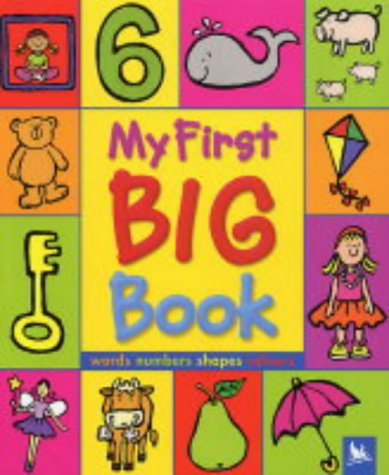 My First Big Book : Words, Colours, Numbers, Shapes by Mandy (Illu ...