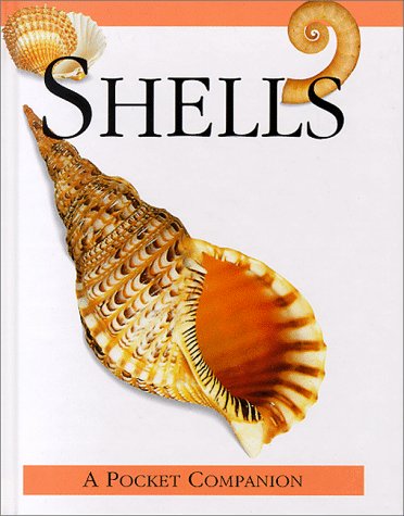 Shells (Pocket Companion) by Judith Milidge | Goodreads