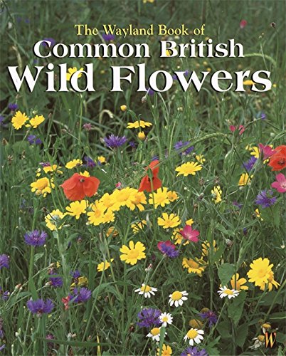 Wayland Book of Common British Wild Flowers by Theresa Greenaway ...
