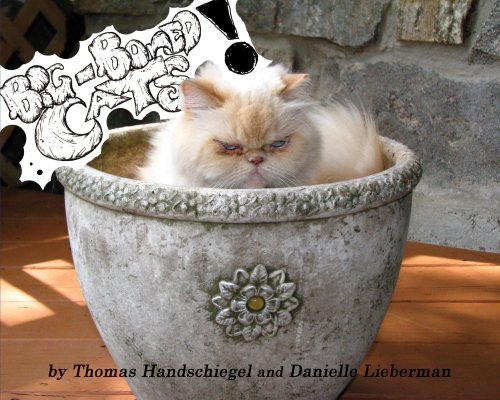 Big-Boned Cats! by Danielle Lieberman | Goodreads