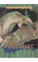 Anteaters (Animals of the Rain Forest) by Sam Dollar | Goodreads