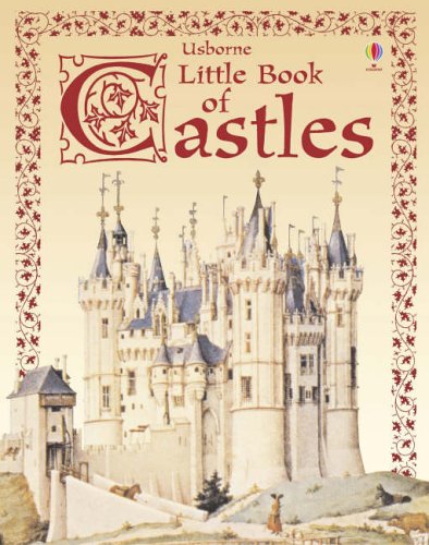 The Usborne Little Book of Castles: Internet-linked by Lesley Sims ...
