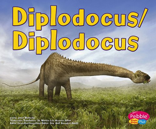 Diplodocus (Dinosaurios Y Animales Prehistoricos / Dinosaurs and ...