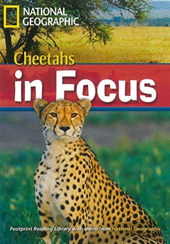Cheetahs in Focus Level 2200 Upper Intermediate B2 with Multi ROM by ...