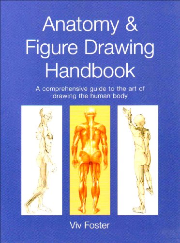 Anatomy & Figure Drawing Handbook by Viv Foster | Goodreads