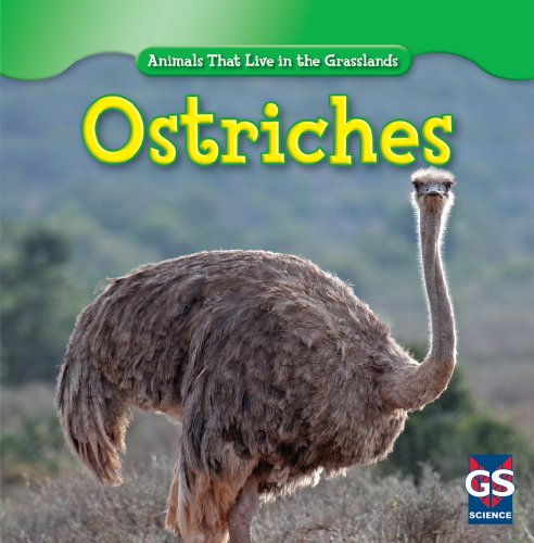 Ostriches (Animals That Live in the Grasslands) by Therese Harasymiw ...