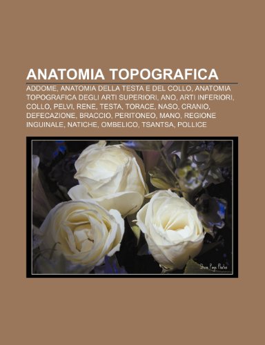 Anatomia Topografica: Addome, Anatomia Della Testa E del Collo ...