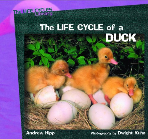 The Life Cycle of a Duck (Life Cycles Library) by Andrew Hipp | Goodreads
