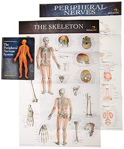 A Comprehensive Introduction to the Peripheral Nervous System by ...