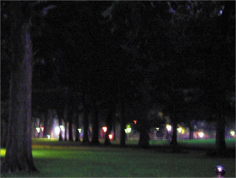 Natacha Merritt: Bliss by Natacha Merritt | Goodreads