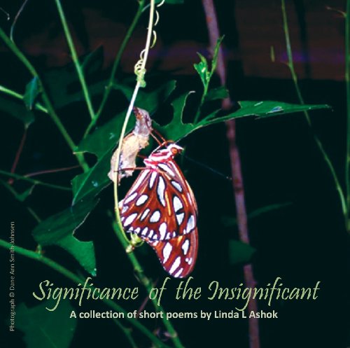 Significance of the Insignificant by Linda L. Ashok | Goodreads