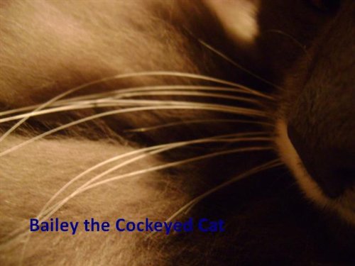 Bailey the Cockeyed Cat by Bianca C | Goodreads