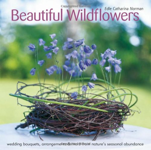 Beautiful Wildflowers: Step-by-Step Instructions To Create Your Own ...