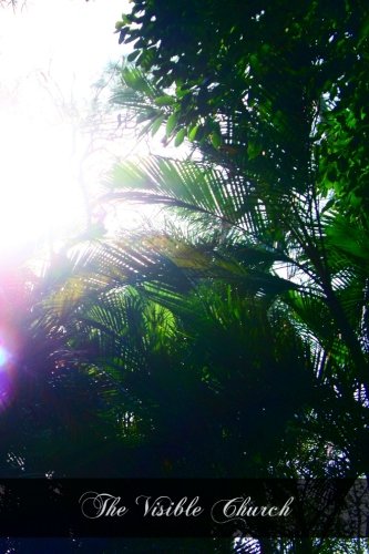 The Visible Church: Her Government, Ceremonies, Sacramentals, Festivals ...