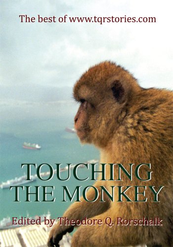 TOUCHING THE MONKEY: The best of www.tqrstories.com by Steven Hansen ...