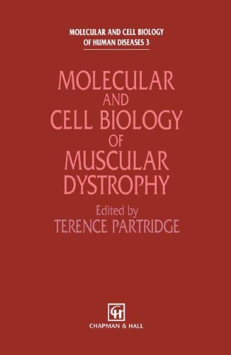 Molecular and Cell Biology of Muscular Dystrophy by Terence Partridge ...