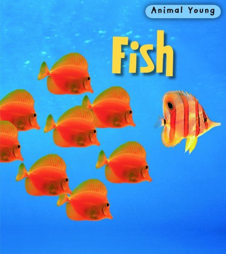 Fish (Animal Young) by Rod Theodorou | Goodreads