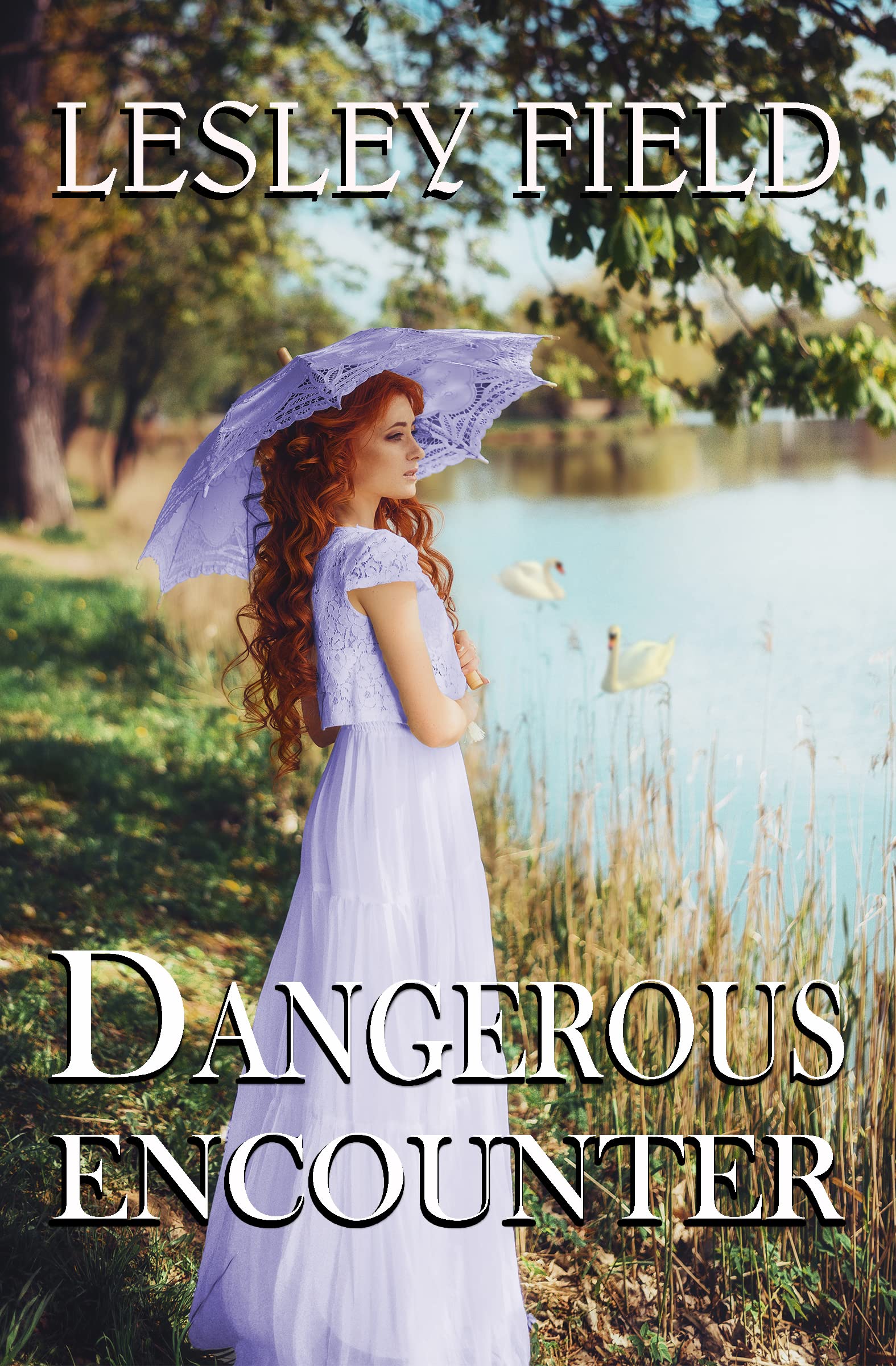 Dangerous Encounter (Duchess in Danger series Book 4) by Lesley Field ...