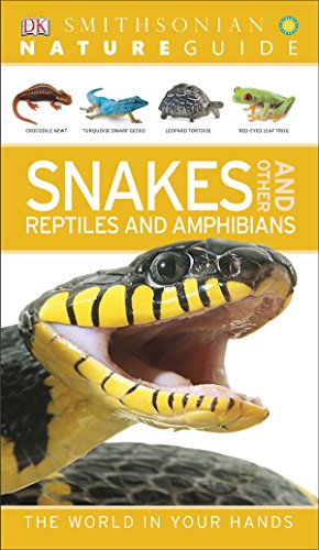 Nature Guide: Snakes and Other Reptiles and Amphibians: The World in ...